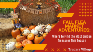 Fall Flea Market Adventures | Traders Village San Antonio